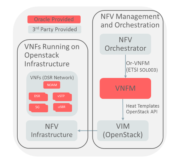 Virtualized network functions manager VNF